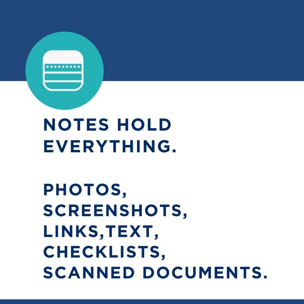 All About Notes - Miss Freddy