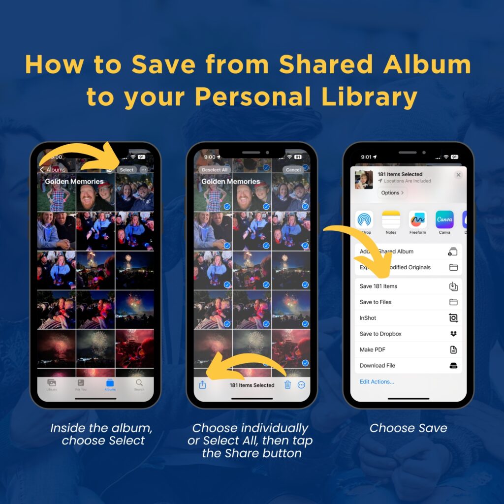 how to use an iphone shared album - Miss Freddy